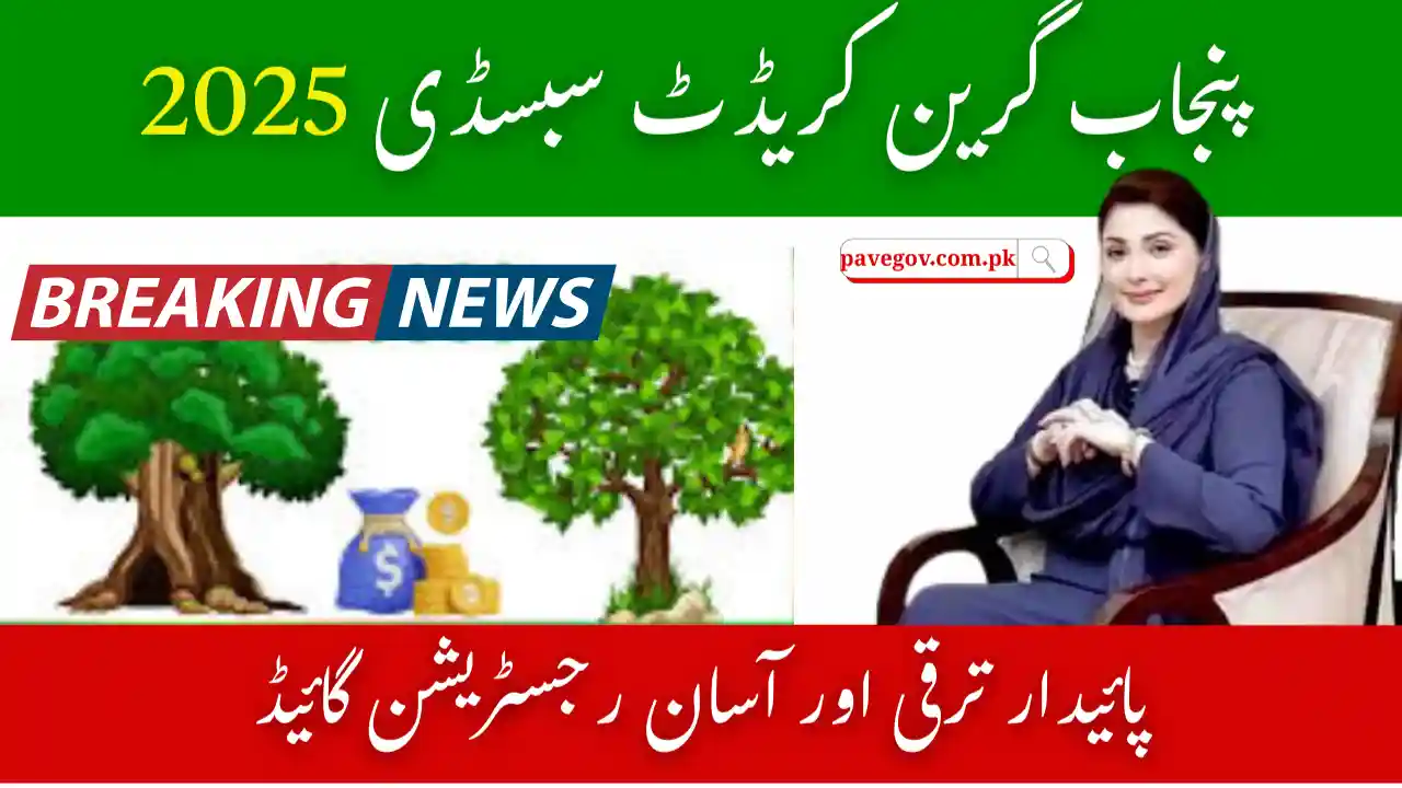 Punjab Green Credit Subsidy 2025