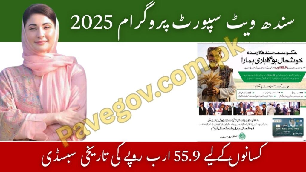 Sindh Wheat Support Program Govt Rs. 55.9 Billions Scheme For Farmers